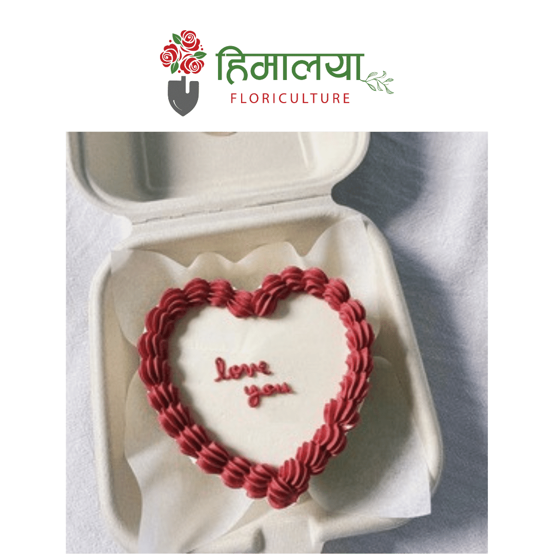 Bento Cake – Vanilla – Himalaya Floriculture