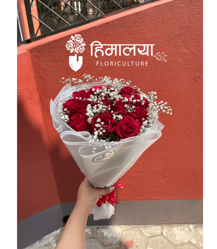 Red Roses 10 Stems Bouquet - Himalaya Floriculture