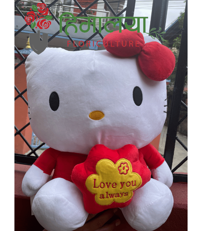 Hello Kitty - Himalaya Floriculture