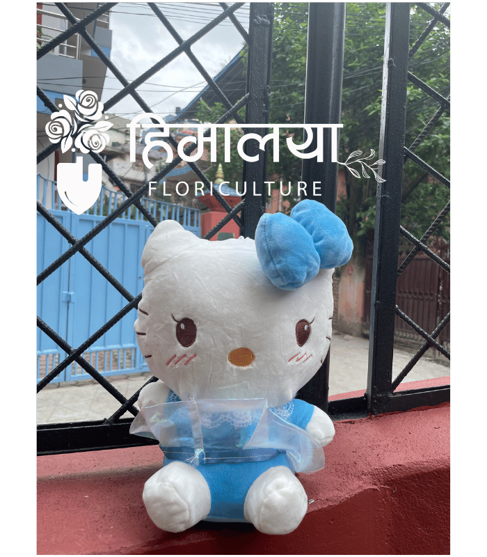 Hello Kitty - Himalaya Floriculture