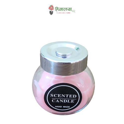 Scented Candles (Handmade) - Himalaya Floriculture